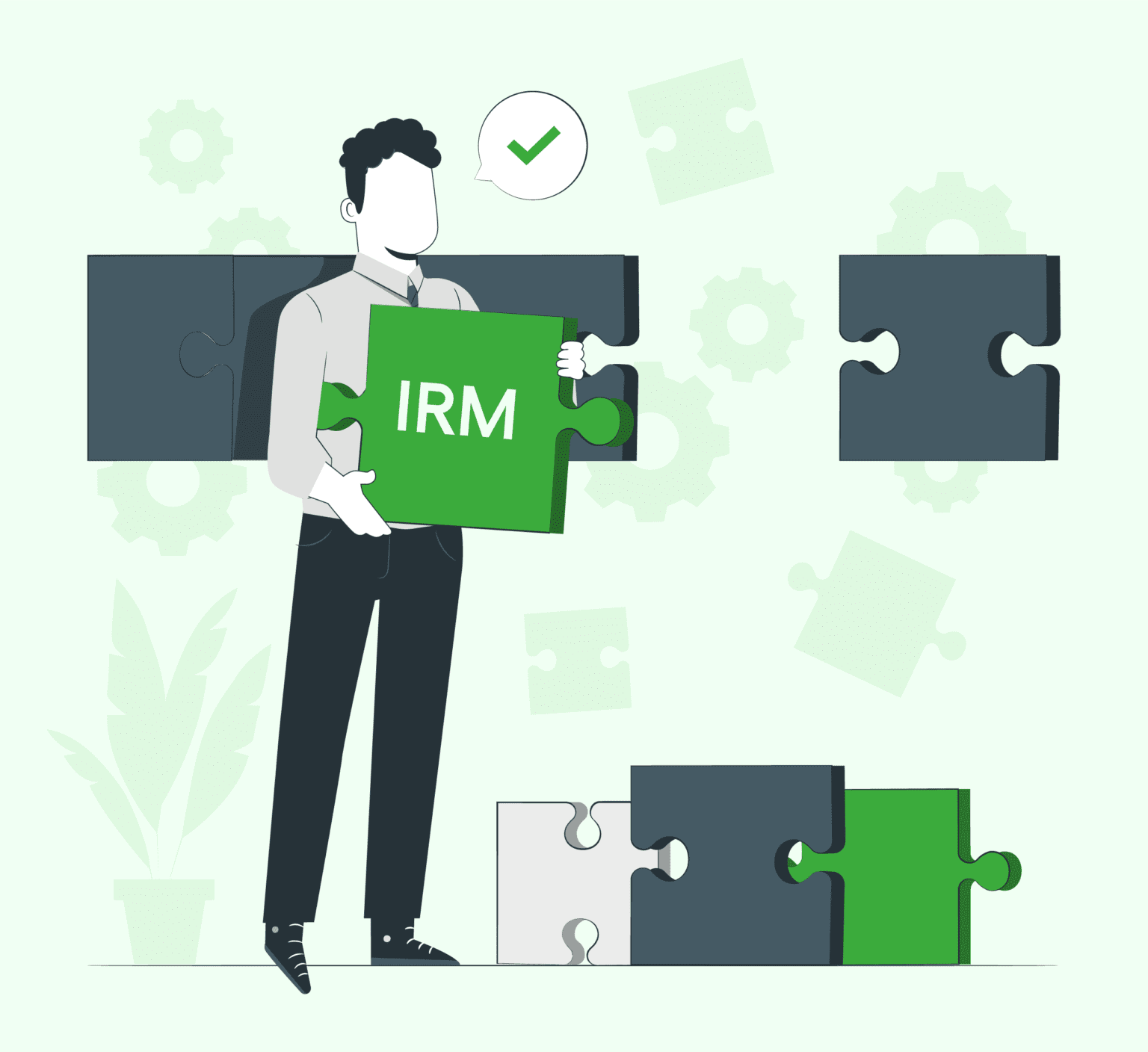 IRM Framework - Key Elements for Implementing Effective Framework