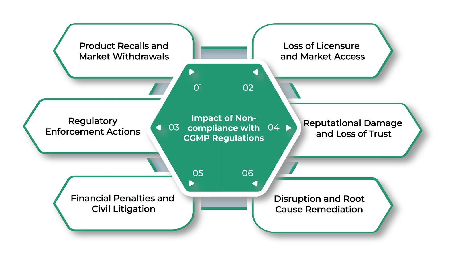 Complete Guide to Current Good Manufacturing Practice Regulations ...